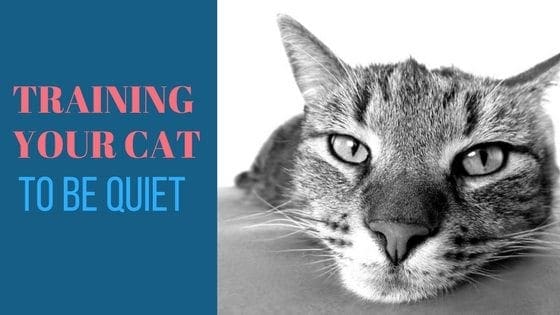 How to Train your Cat to be Quiet